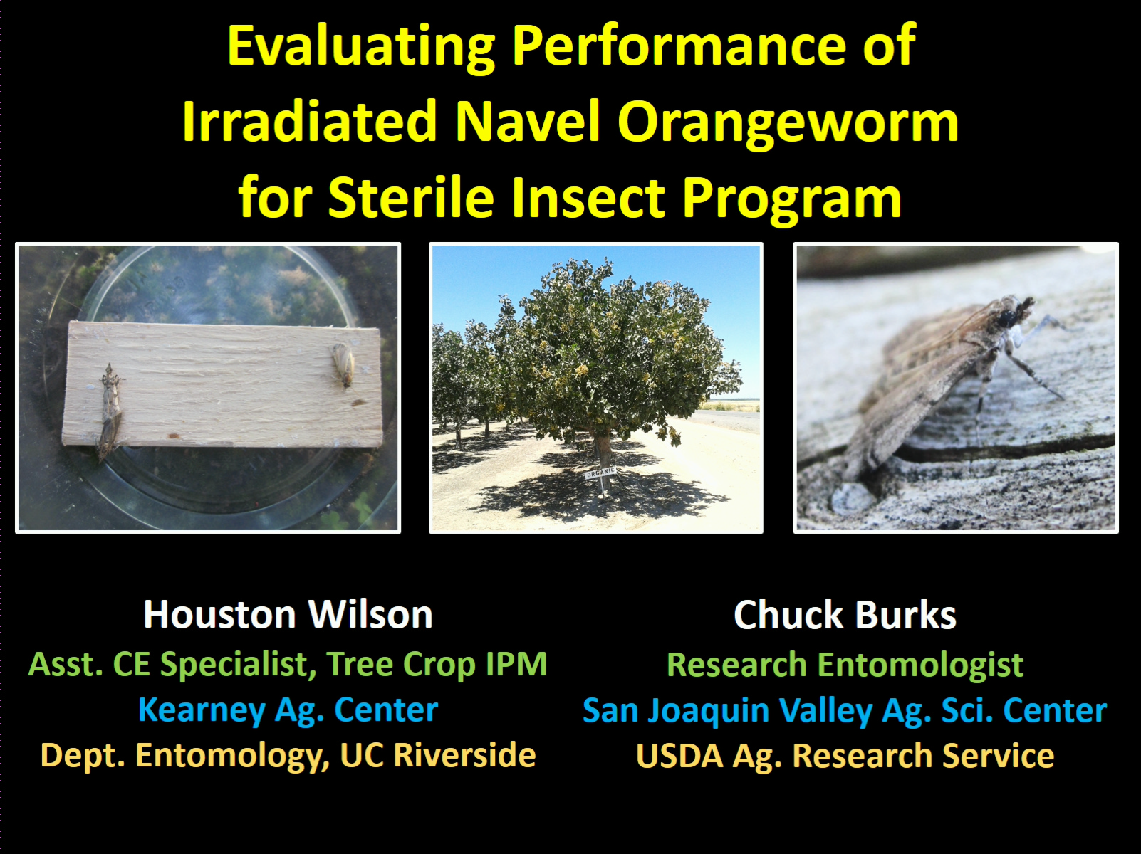 Houston Wilson, Extension Entomologist, Kearney Agricultural Research ...
